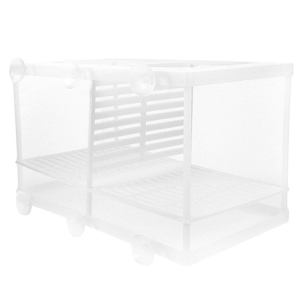 Fry Hatching Box Fish Aquarium Dividers Betta Tanks Incubator Large ...