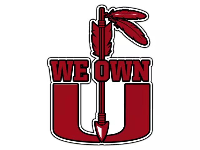 Fsu We Own You Logo Waterproof Sticker Phone Decal Water Bottle ...