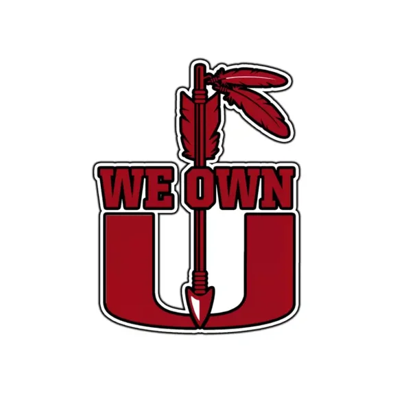 Fsu We Own You Logo Waterproof Sticker Phone Decal Water Bottle ...