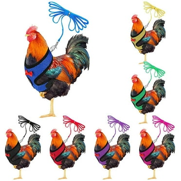 Visland Duck Harness Leash, Fashion Cute Candy Color Wing Design ...