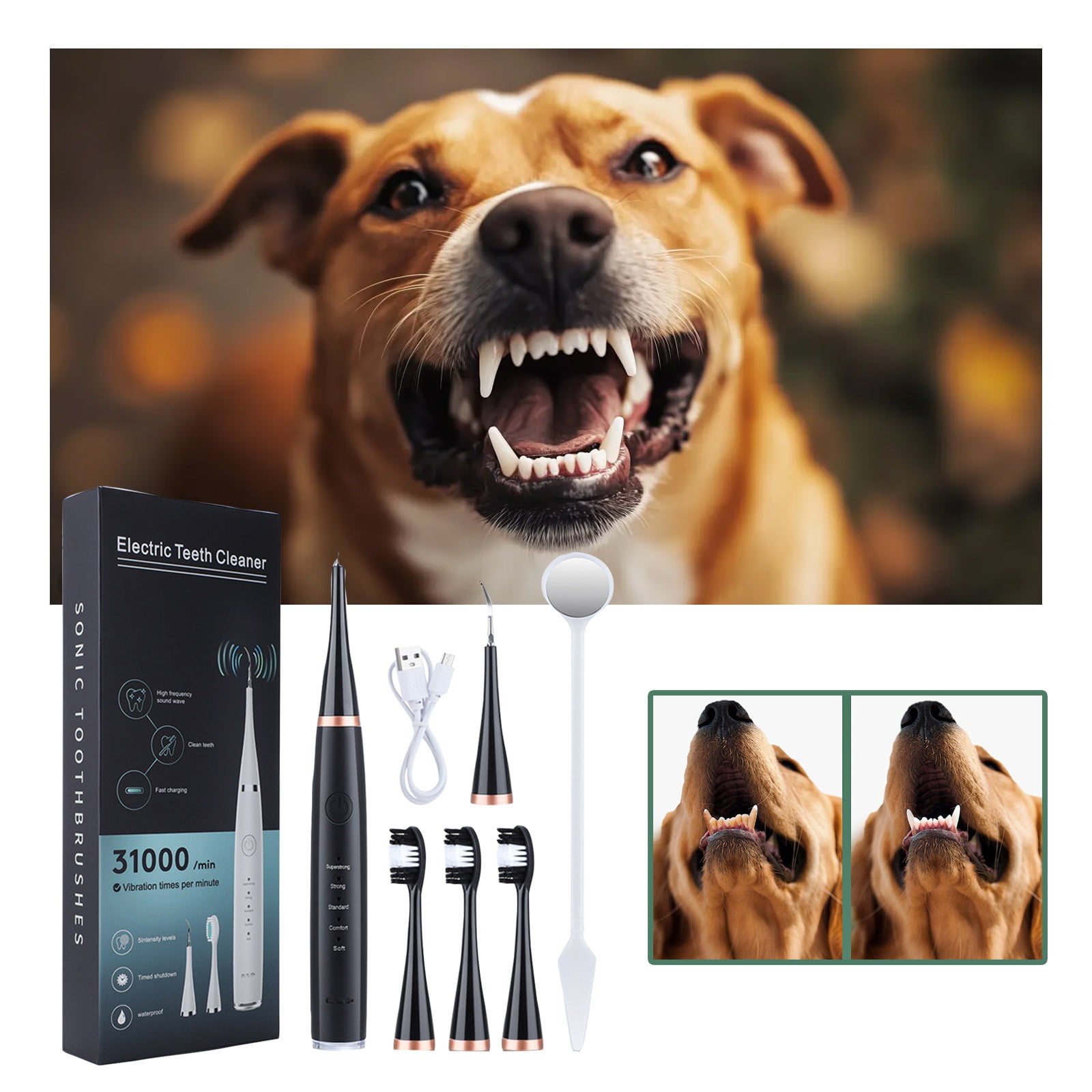 Ftwujt Dog Teeth Cleaning-Black，Plaque Remover For Teeth，Teeth Cleaner ...