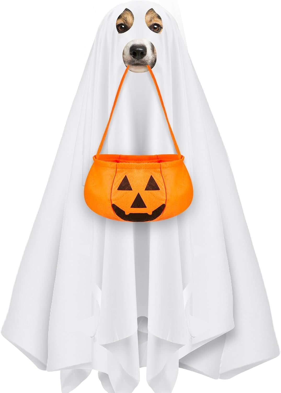 Ftwujt Halloween Ghost Dog Costume Sets Includes White Dog Costumes and ...