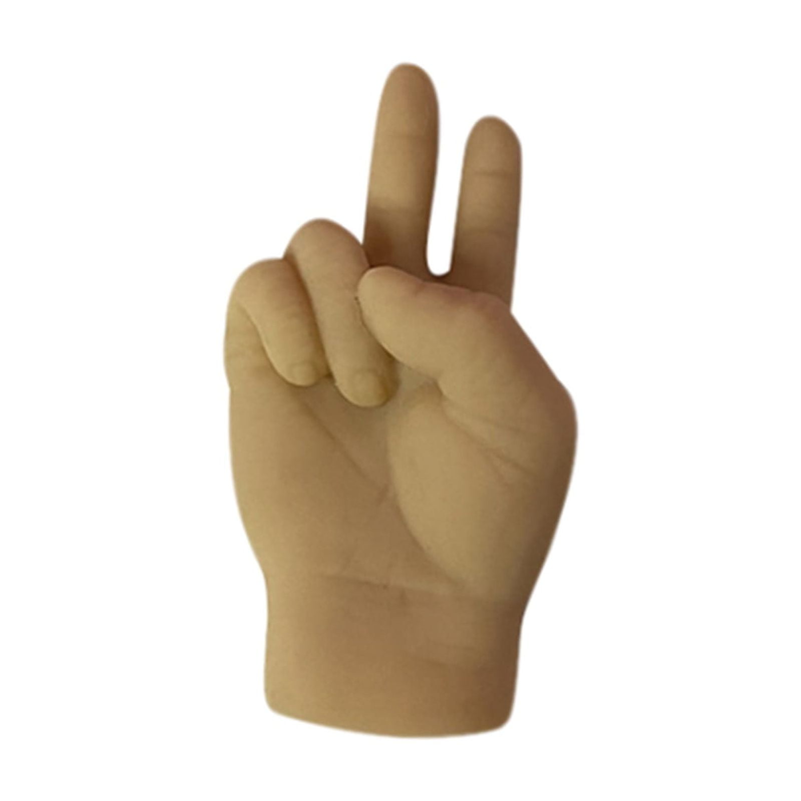 Ftwujt Tiny Hands On Sticks,Mini Hands for Cats，Small Hands Tiny Folded ...