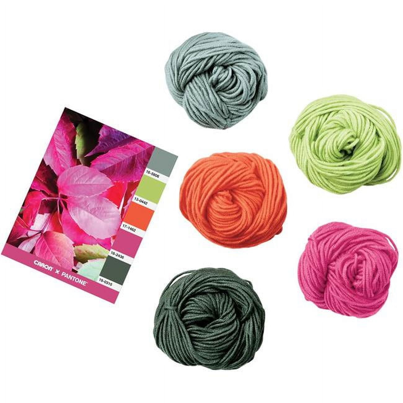 Caron Pantone Yarn - Fuchsia Foliage - Walmart.com