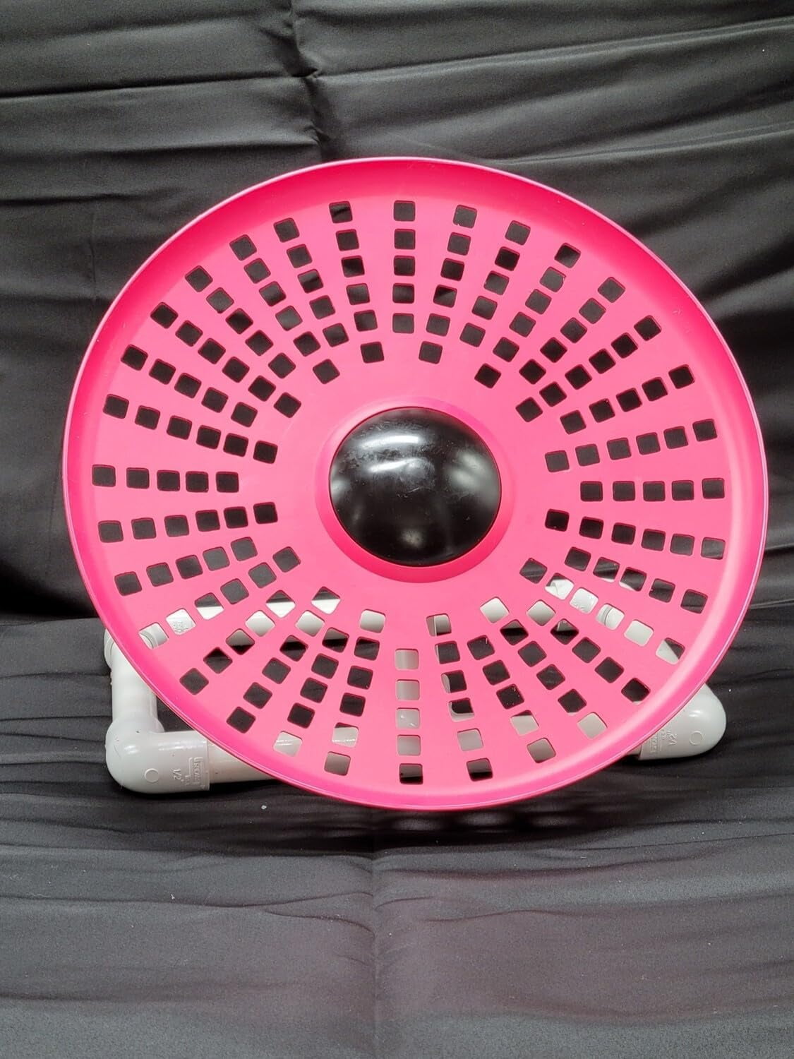 Fuchsia Freedom Disk, No. 1 Recommended Wheel for Sugar Gliders by ...