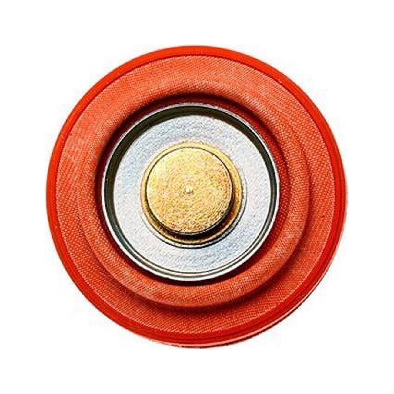 Fuel Pressure Regulator Replacement Diaphragm - Walmart.com