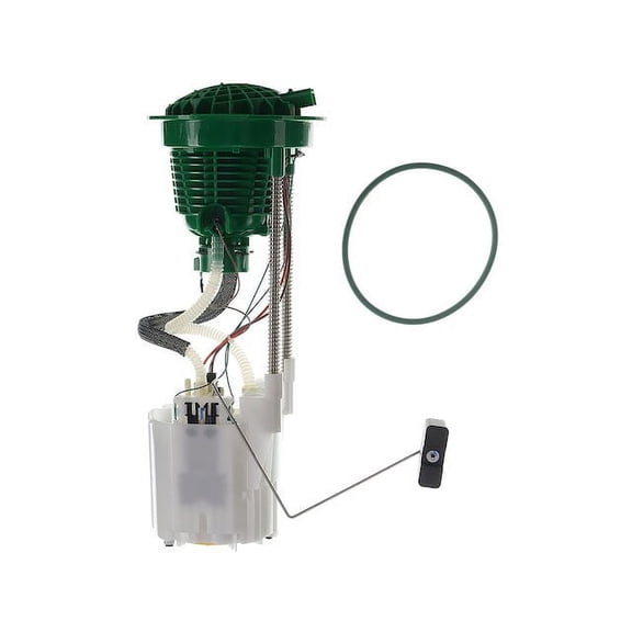 Dodge Ram 1500 Fuel Pump And Sender Assembly