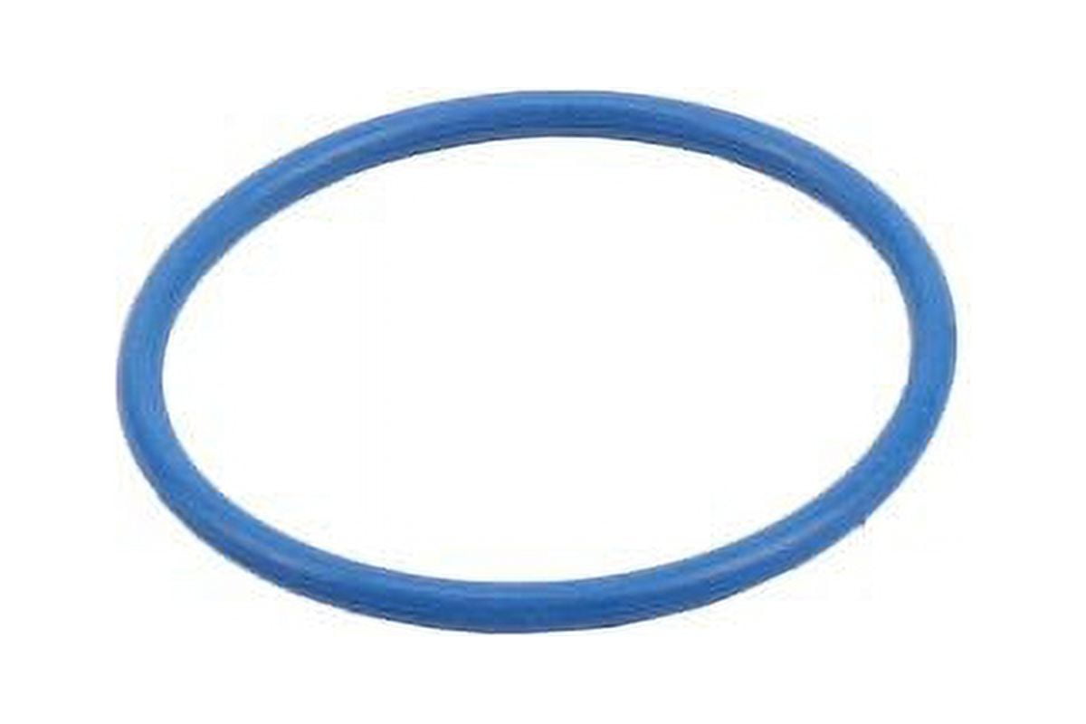 Fuel Pump Housing O-Ring Seal - Walmart.com