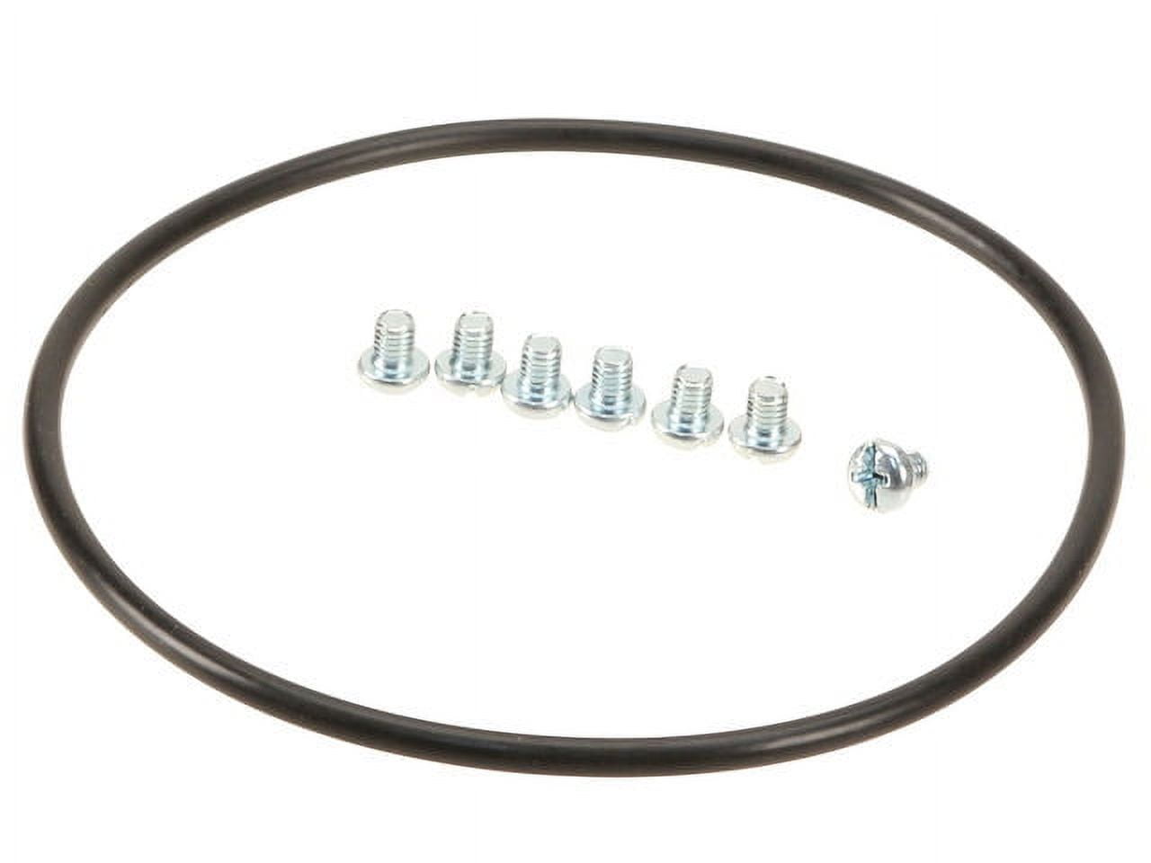 Nissan Sentra Fuel Pump Tank Seal