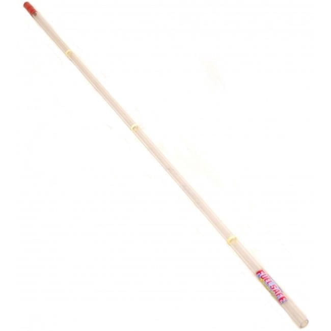 Fuel Safe 36 in. Tube Clear Fuel Level Stick - Walmart.com