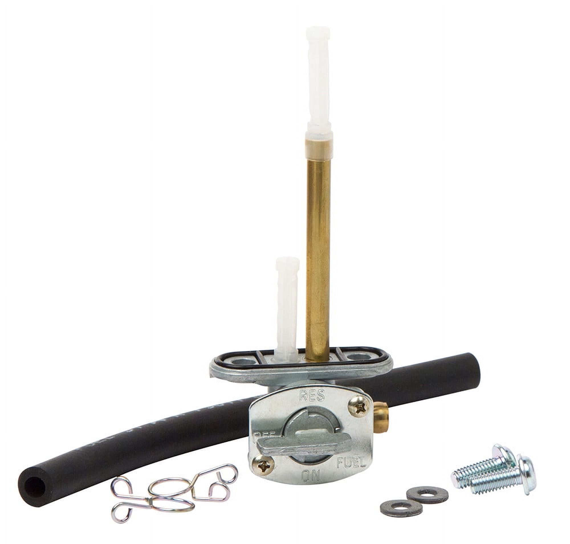 Fuel Star FS101-0036 Fuel replacement valve Kit - Walmart.com