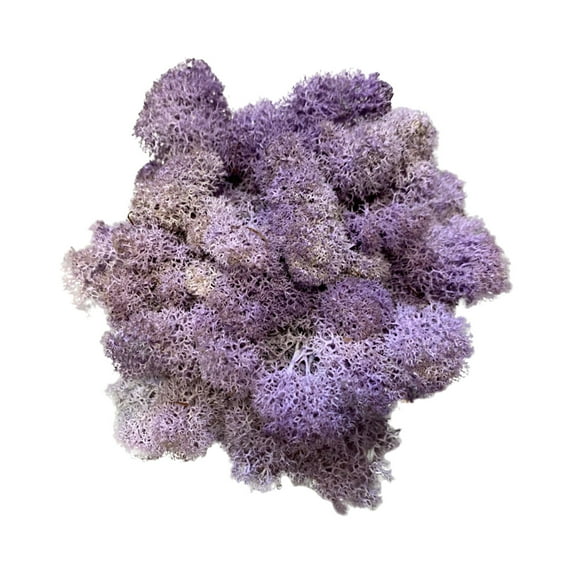 Fufafayo Artificial Moss Grass, Artificial Moss, Preserved Green Moss ...