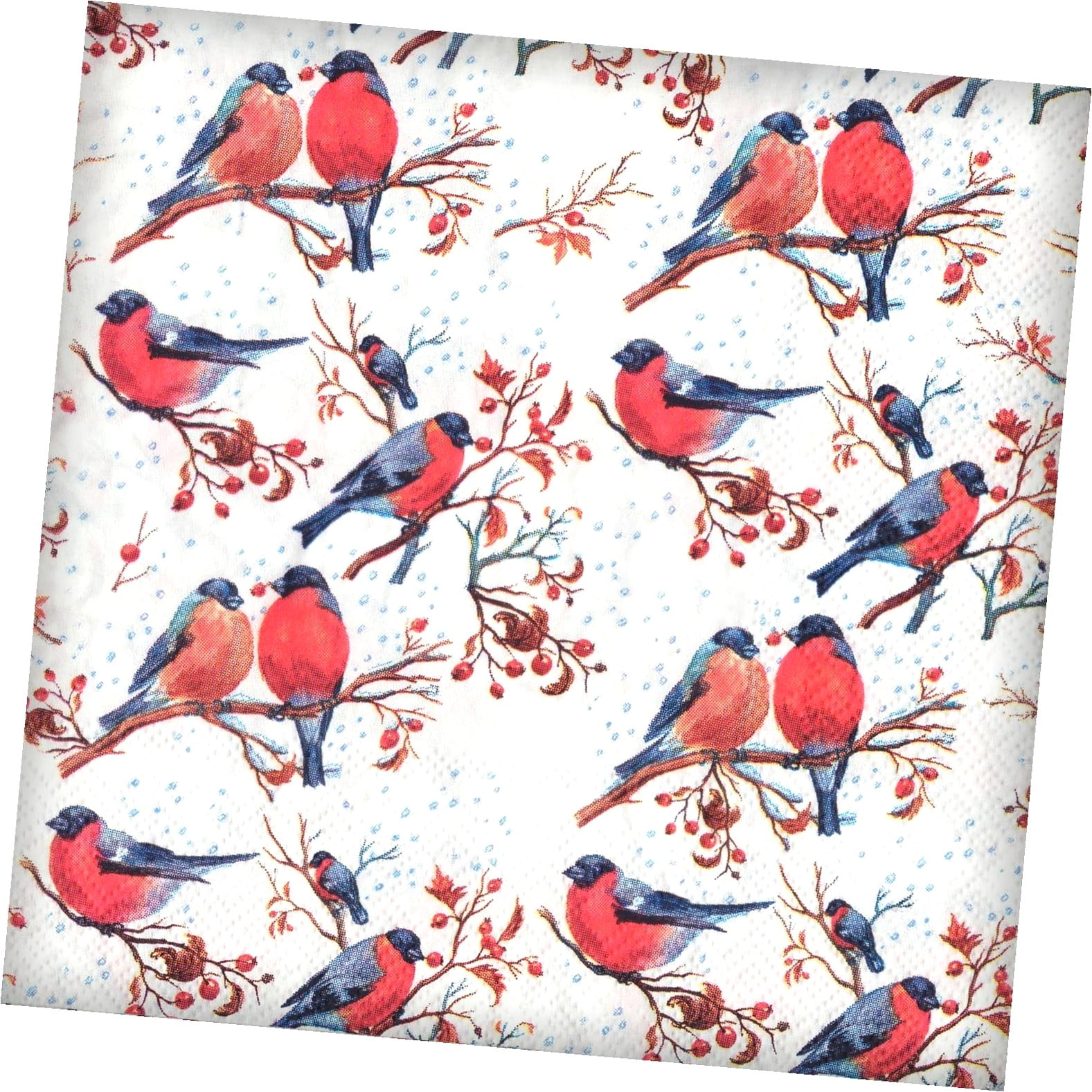 Fuliko 40 Count Paper Napkins, Designed Prints Cocktail Napkins ...
