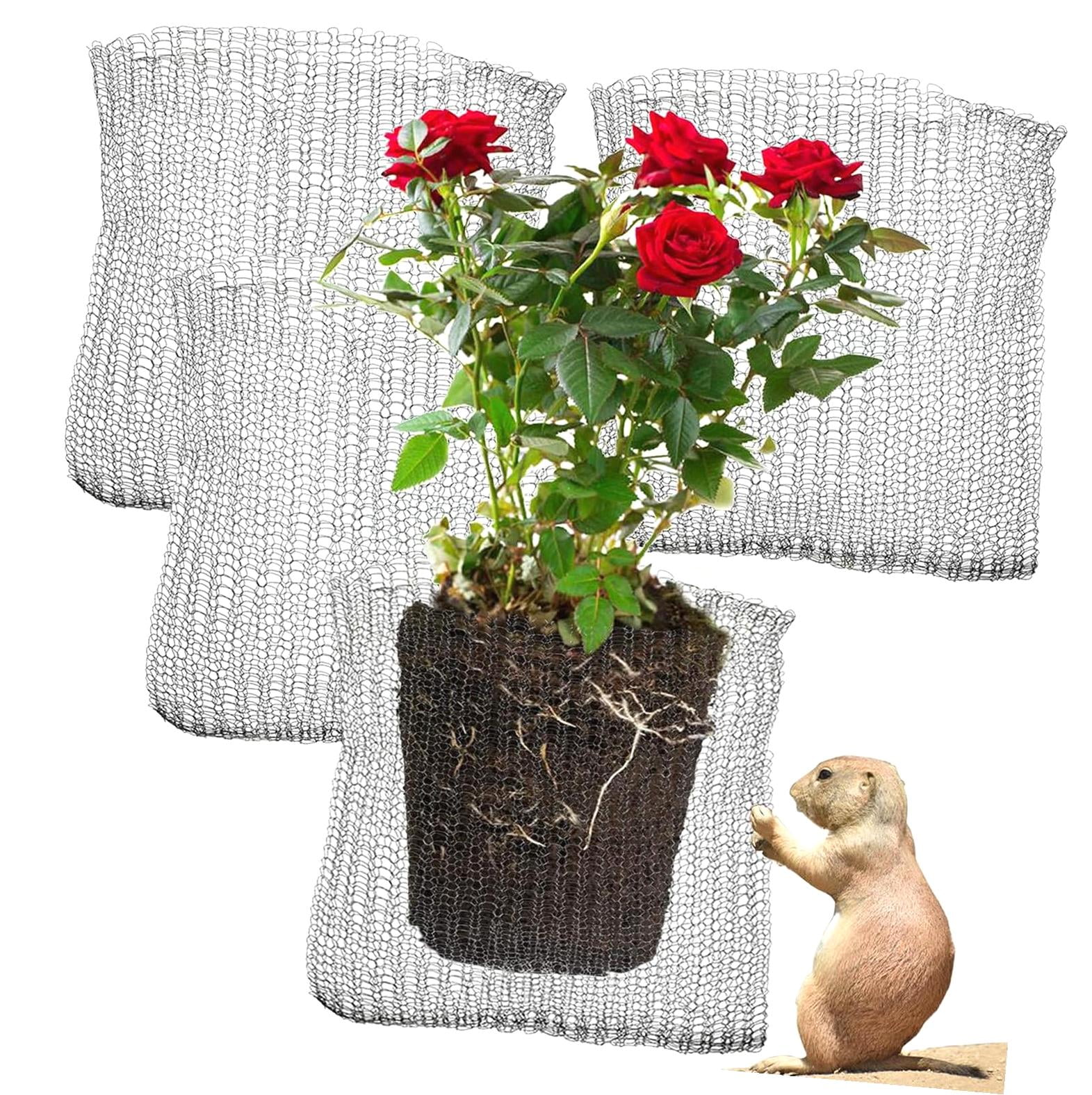 Fuliko 4pc 5 Gallon Gopher and Vole Wire Baskets, Gopher Wire Mesh ...