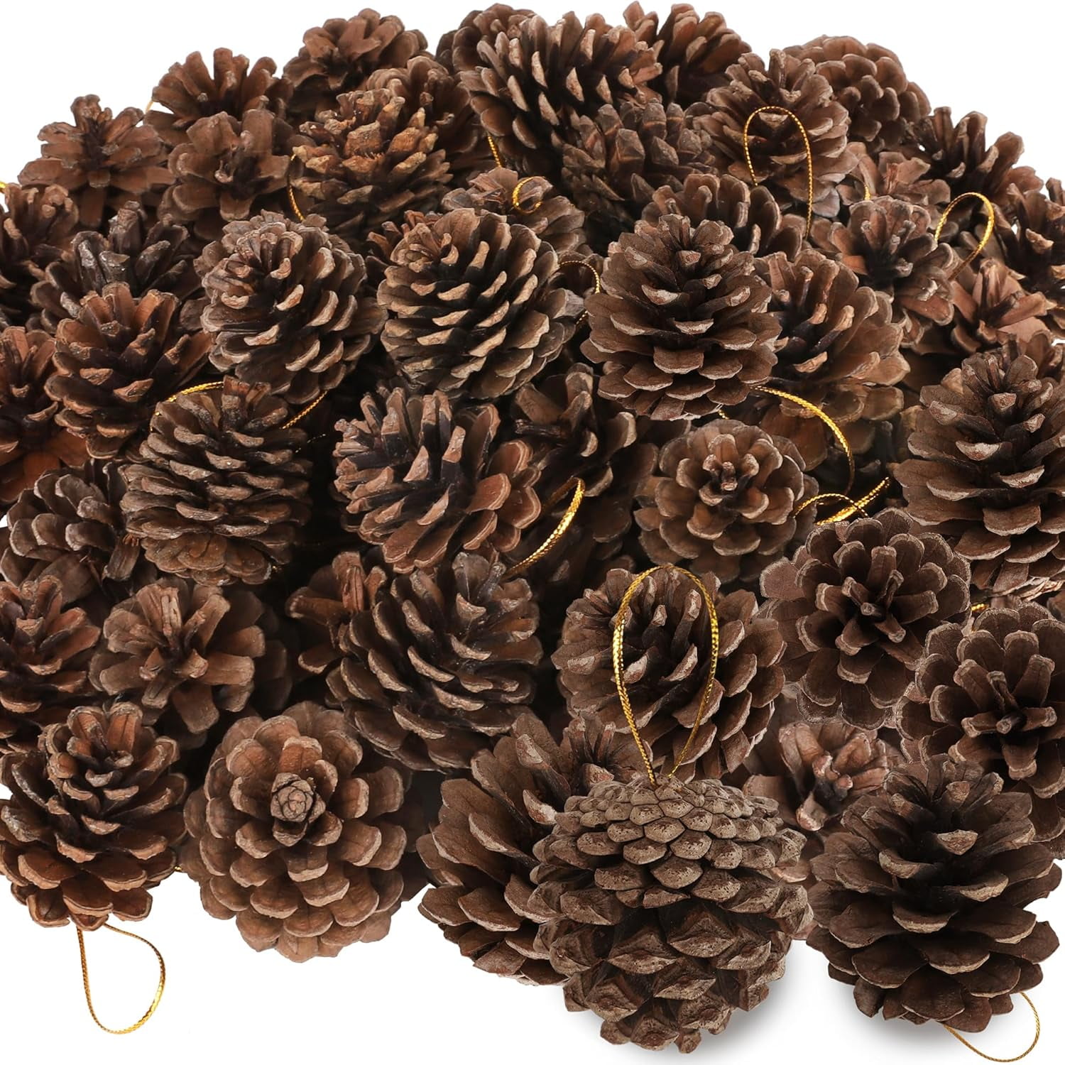 Fuliko 50 Pack Pine Cones, 1.96 Inches Pinecone Ornaments, Pine Cones ...