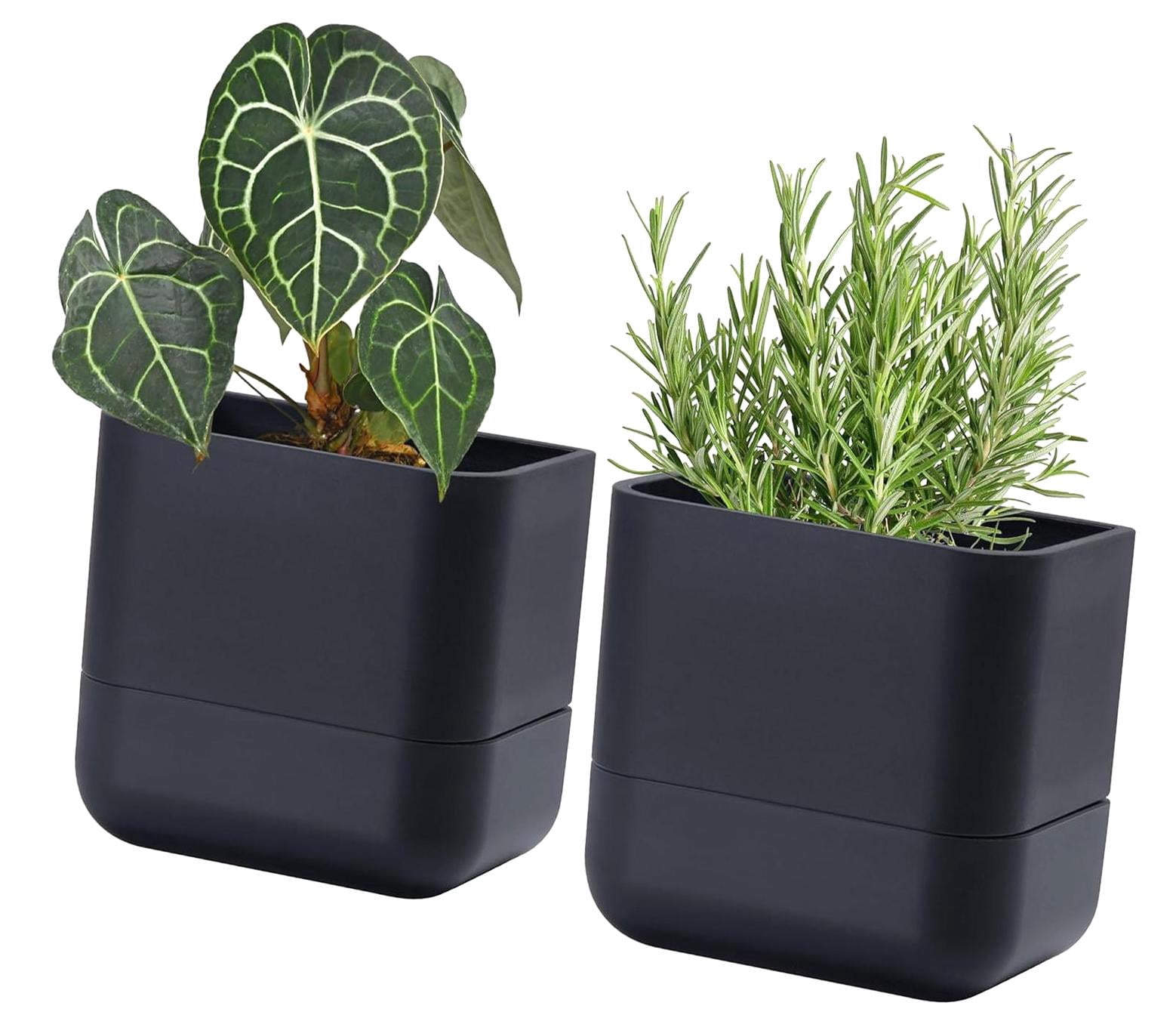 Fuliko 6.5-Inch Wall Mounted Self-Watering Planter Pot for Indoor ...