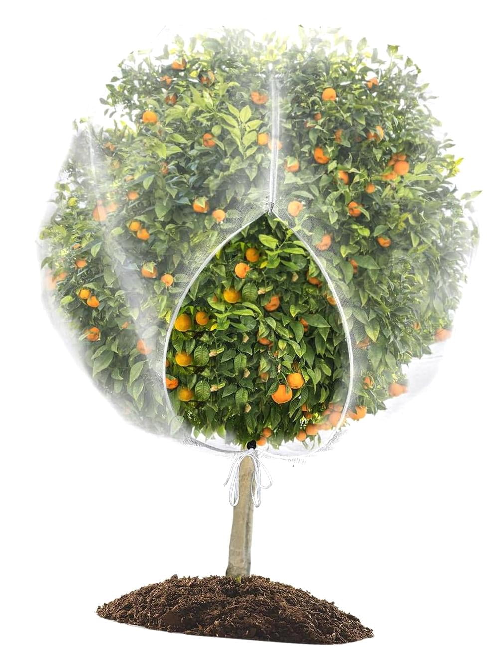 Fuliko 8 x 8ft Large Fruit Tree , Barrier Against and Birds with ...
