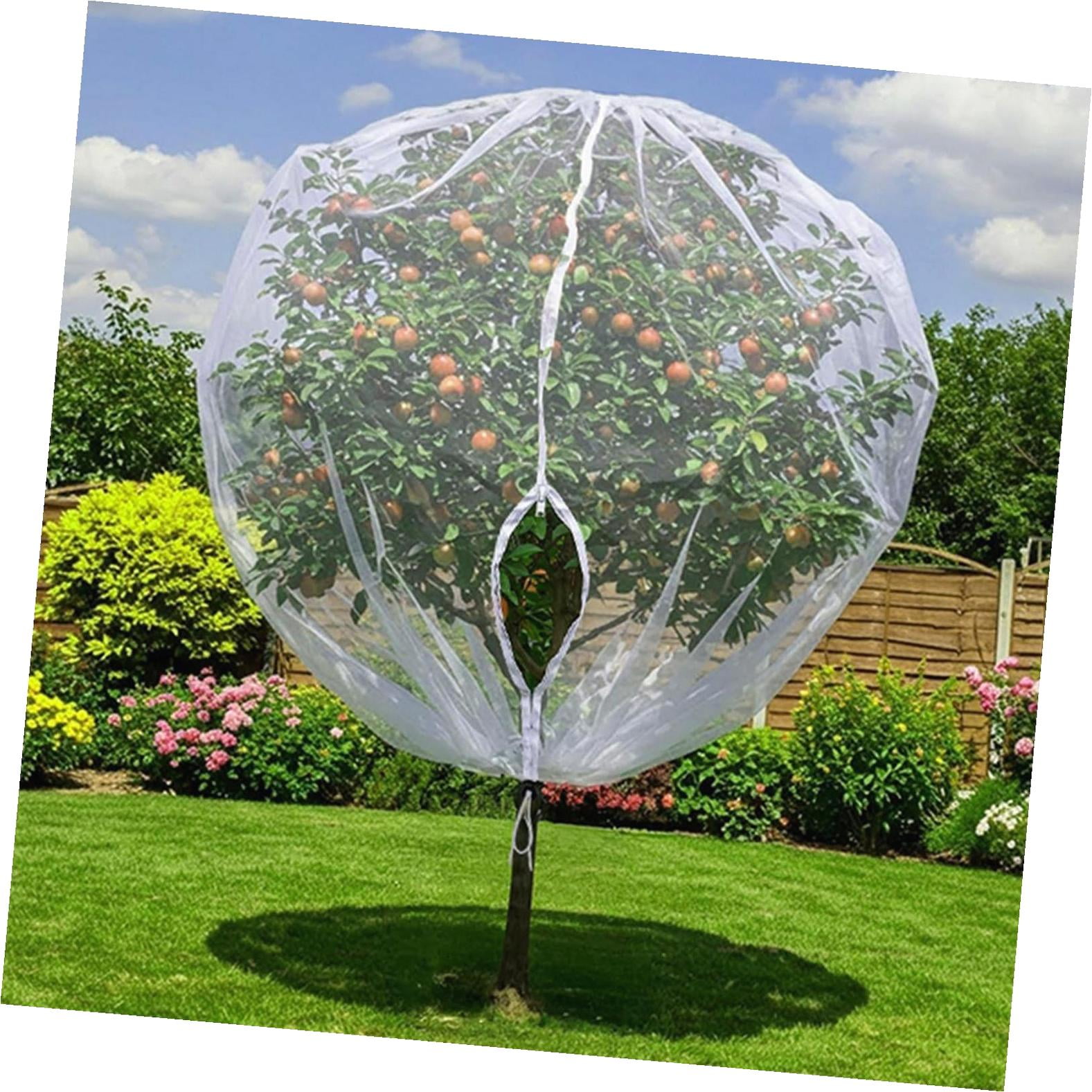 Fuliko 8x8Ft Large Fruit Tree Protector for Tomatoes, Blueberries ...