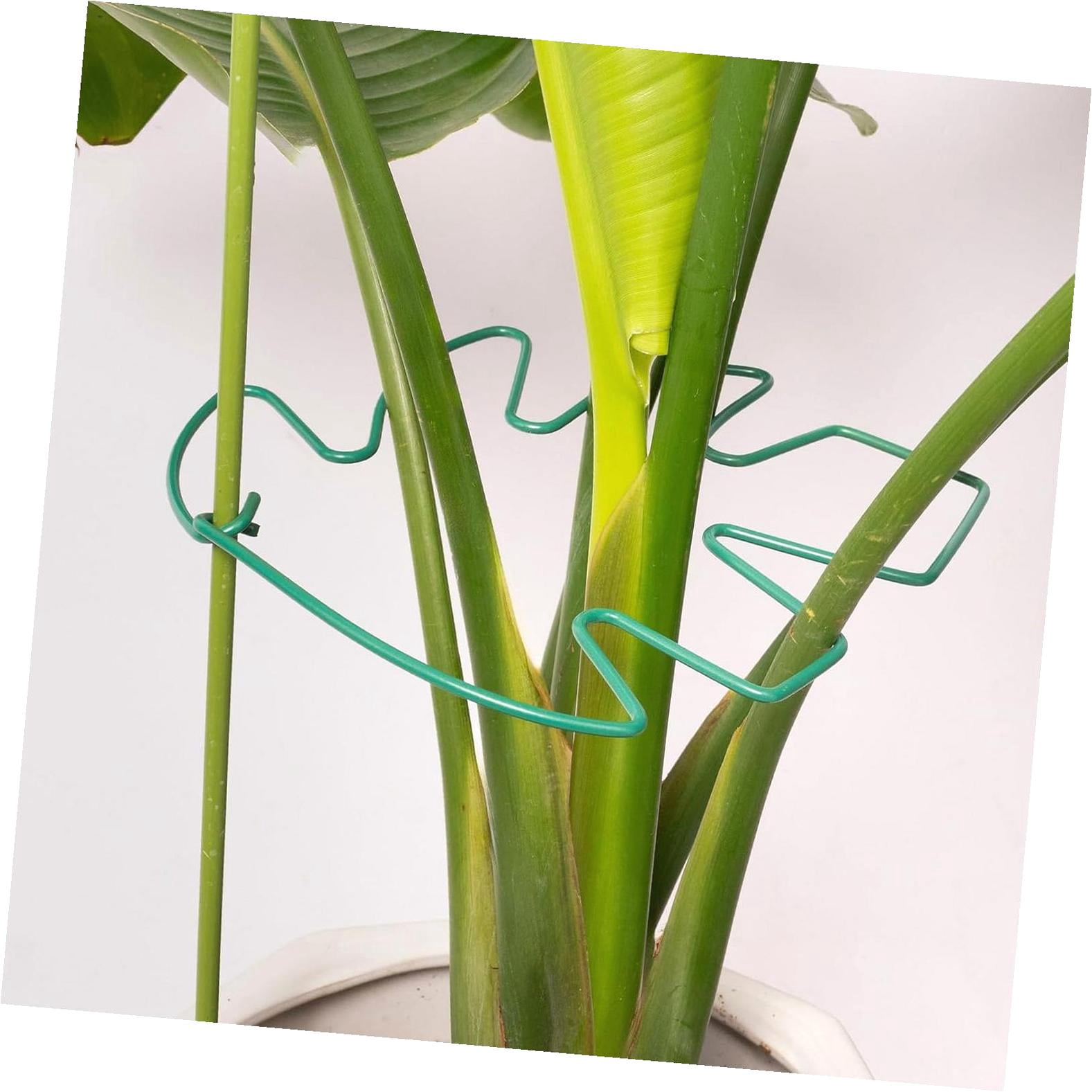 Fuliko Black Monstera Plant Support Hook - 6.5 * 6.5IN -5 Piece Set ...