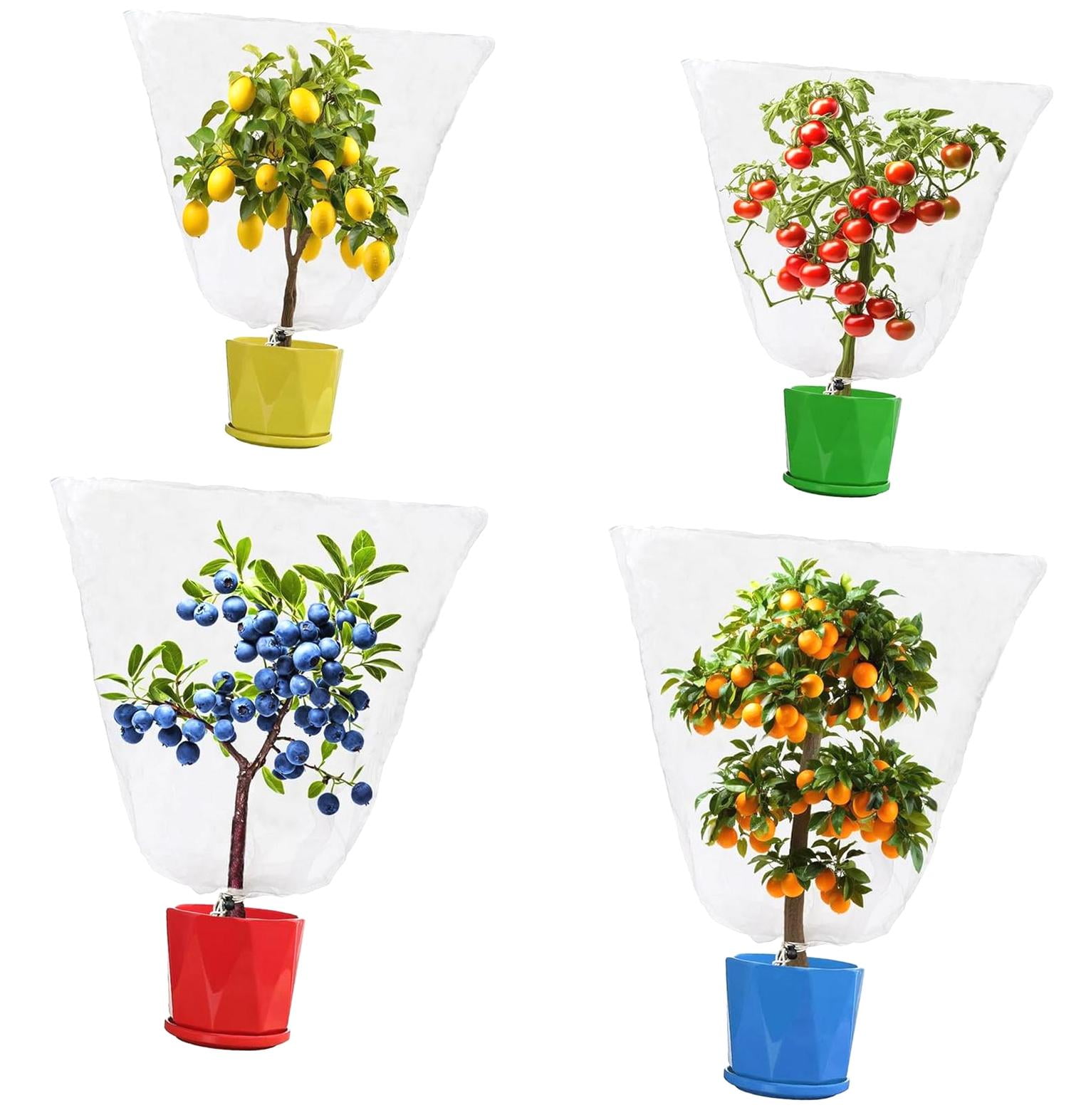 Fuliko Blueberry Bush Netting Cover, 4 Pack 2 Size Plant Fruit ...
