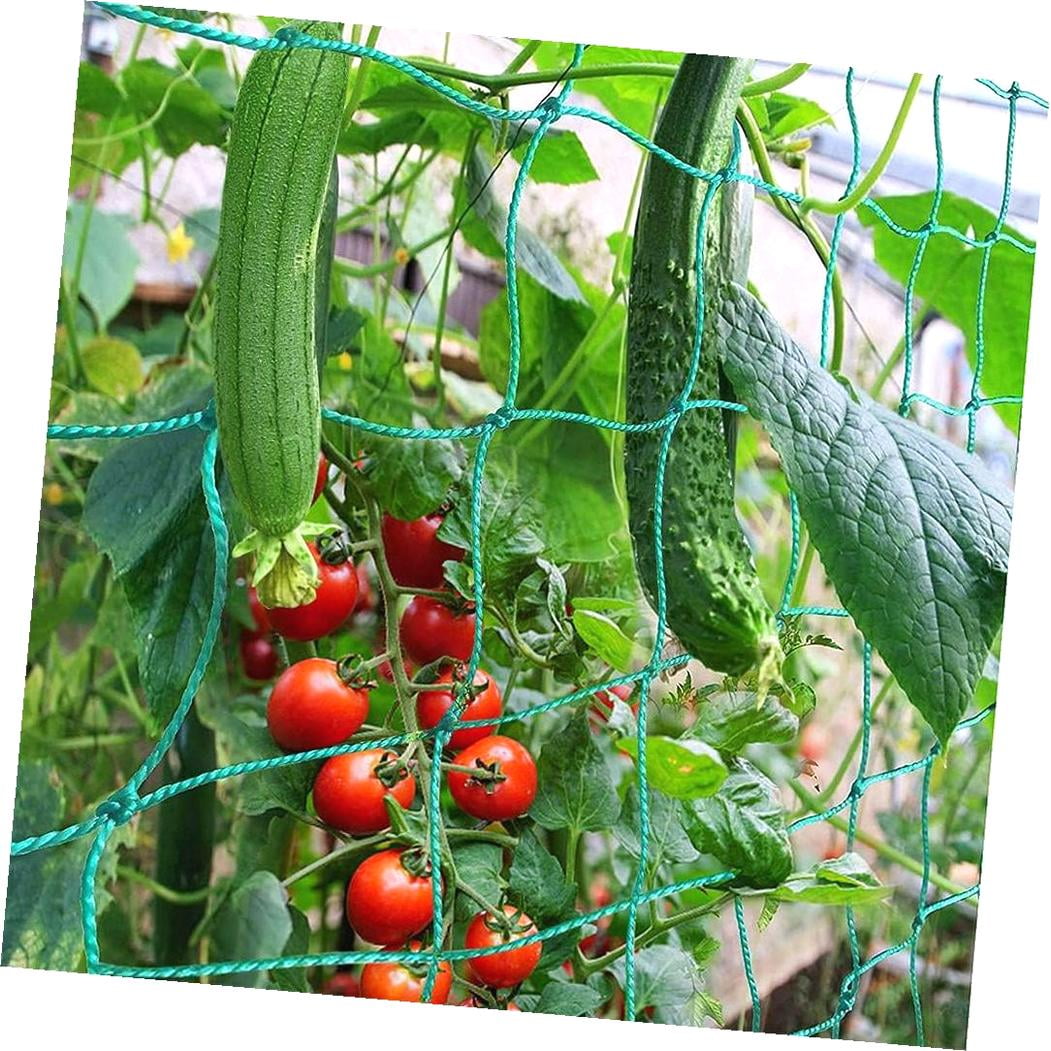 Fuliko Climbing Plant Support Net, Garden Pea and Bean Net, Heavy-Duty ...