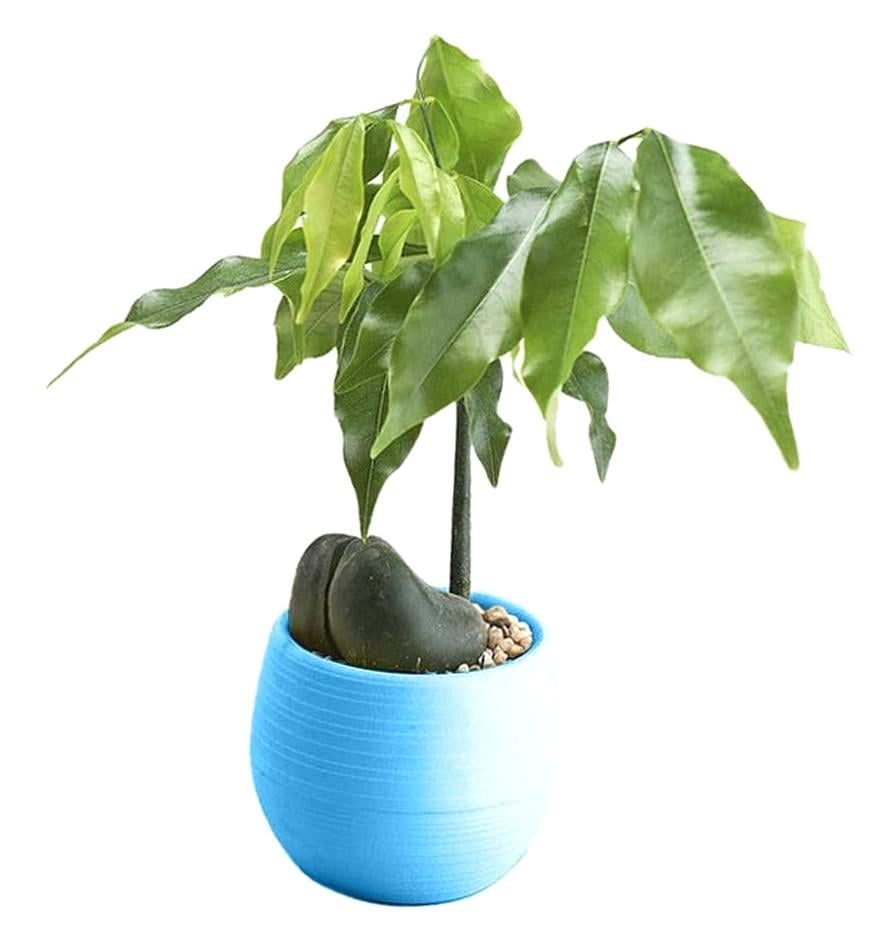 Fuliko Decor, Mini Solid Color Round Plastic Plant Pots Office Decor ...