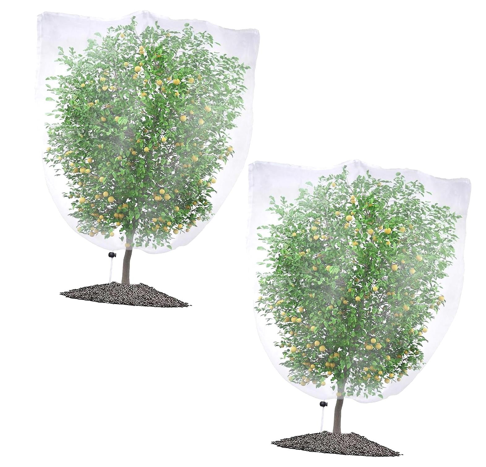 Fuliko Fruit Tree Netting Bags with Drawstring, Insect Bird Barrier for ...