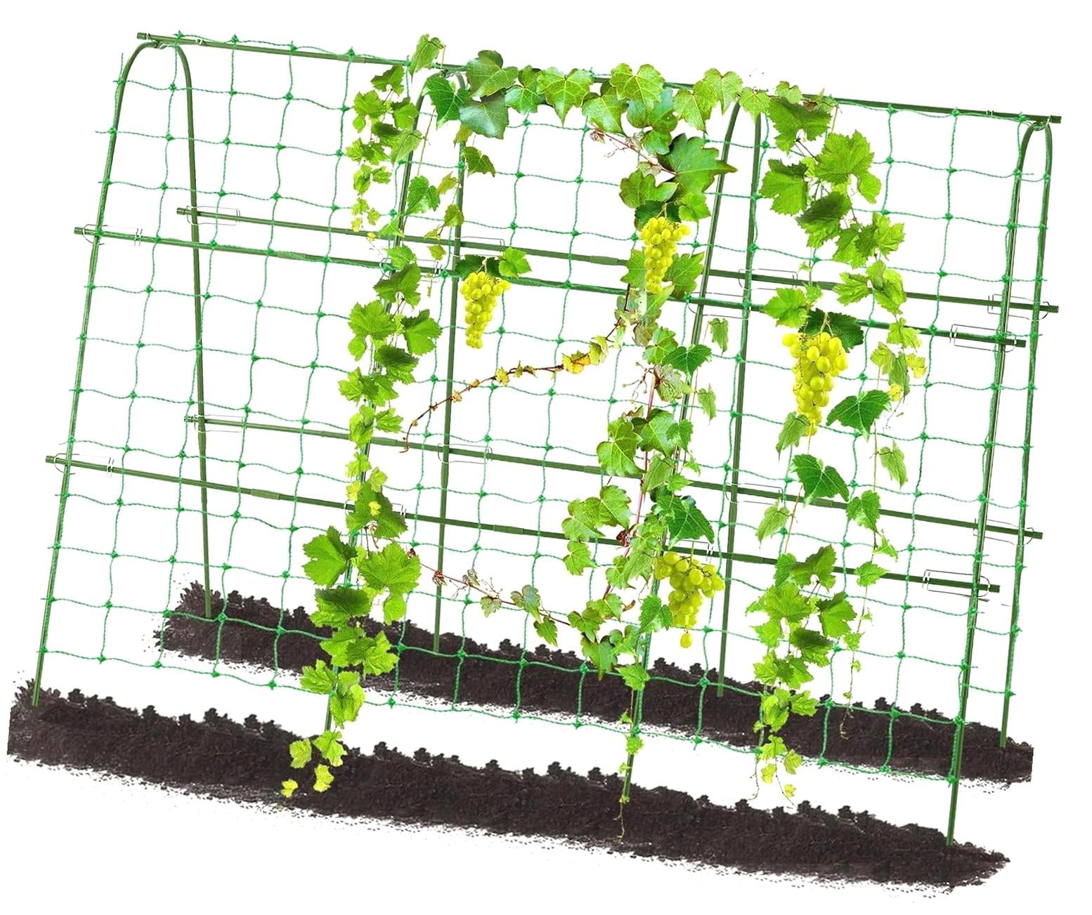 Fuliko Garden Cucumber Trellis Designed for Climbing Plants, 63x48 Inch ...