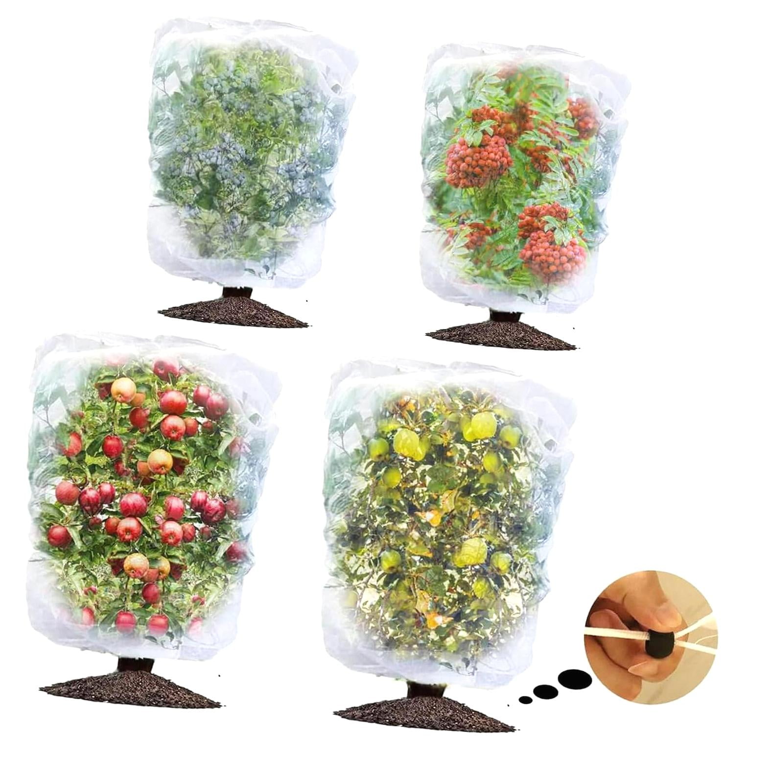 Fuliko Garden Protection Netting, 4 Pack in 2 Sizes, for Blueberry ...