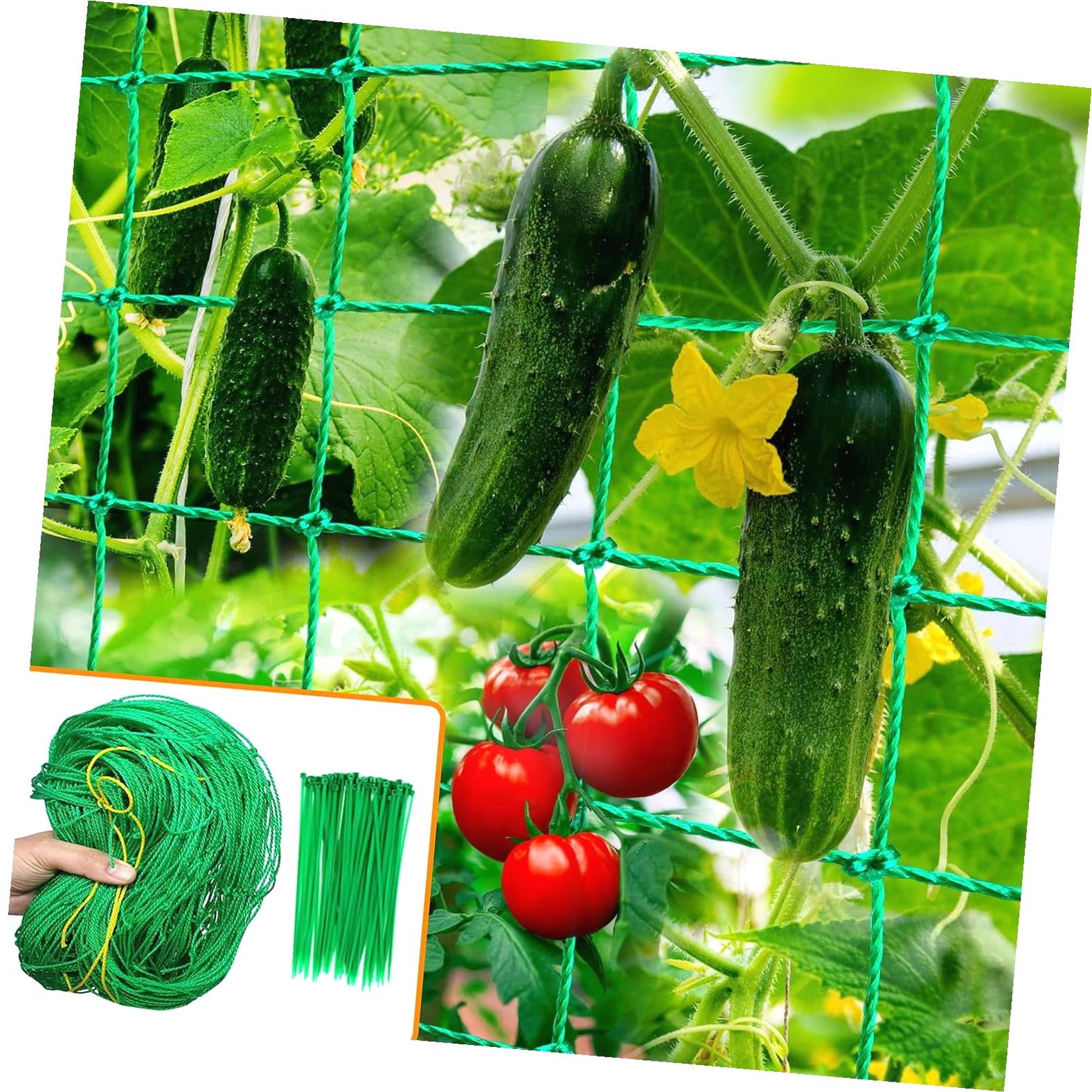 Fuliko Garden Trellis Netting, 6.6x9.85 FT for Climbing Plants with 27 ...