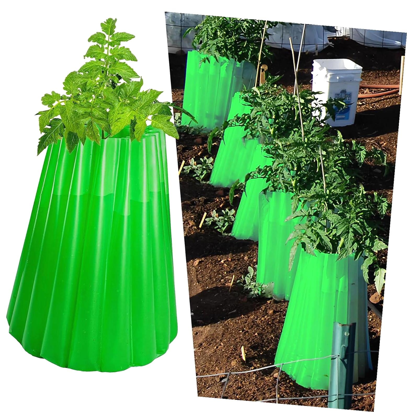 Fuliko Insulating Plant Protectors–Early Season Water Wall for Young ...