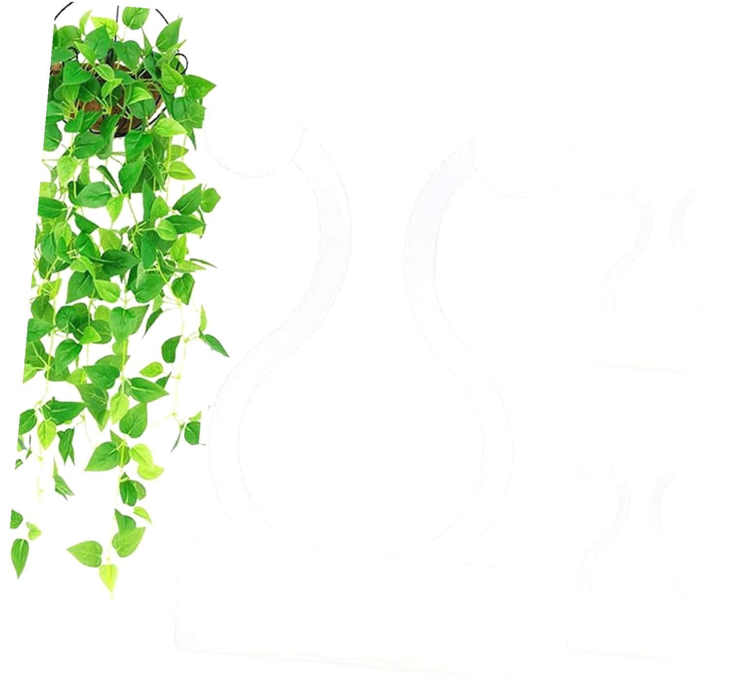 Fuliko Plant Climbing Wall Fixture Clips, 100Pcs Plant Fixer Self ...