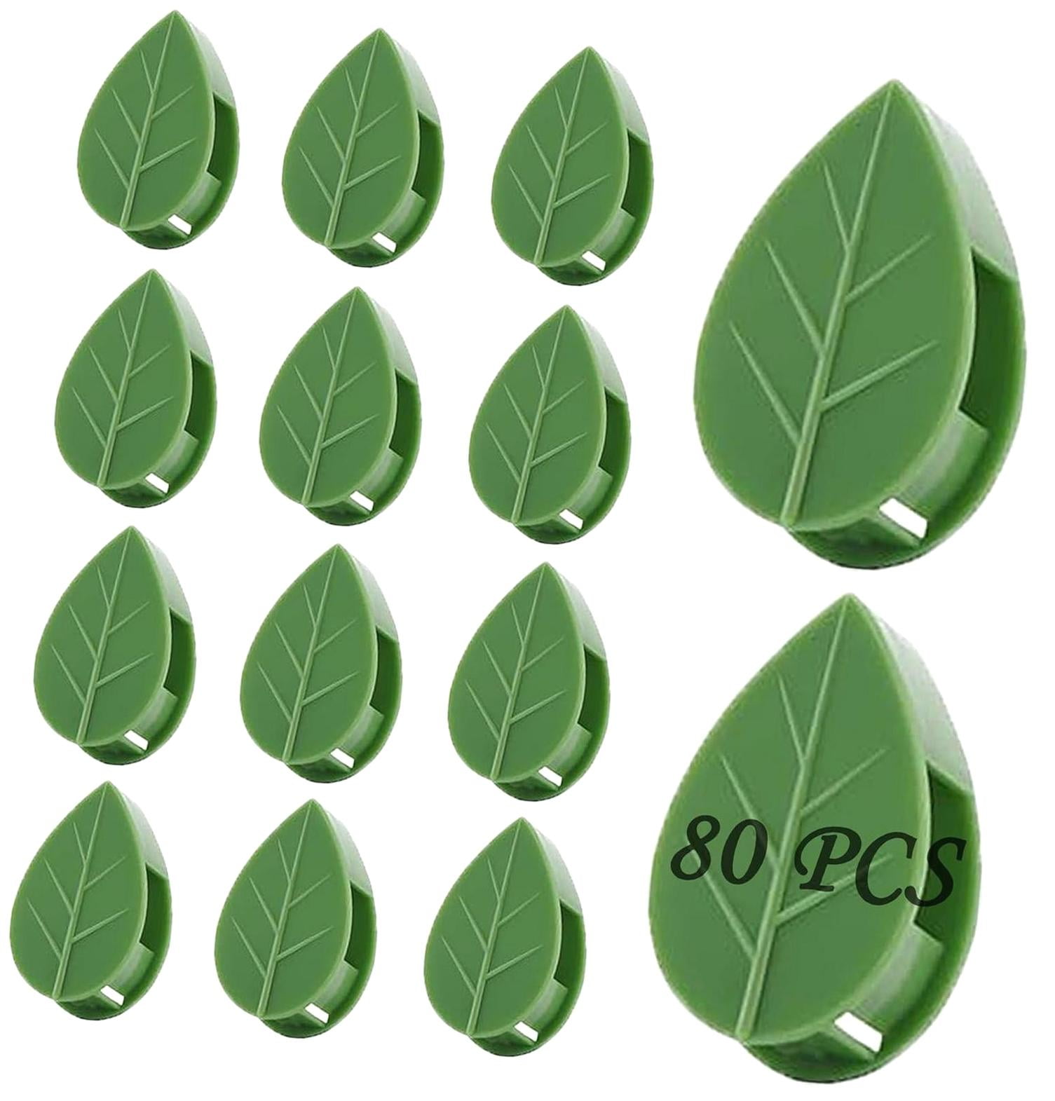 Fuliko Plant Climbing Wall Fixture Clips, 80Pcs Self-Adhesive Wall ...