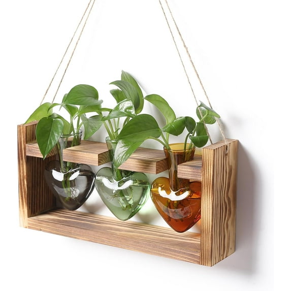 Fuliko Plant Terrarium Propagation Stations Hydroponics Decoration for ...