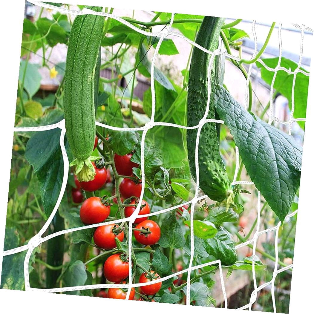 Fuliko Trellis Netting, Heavy-Duty Garden Plant Support Net for ...