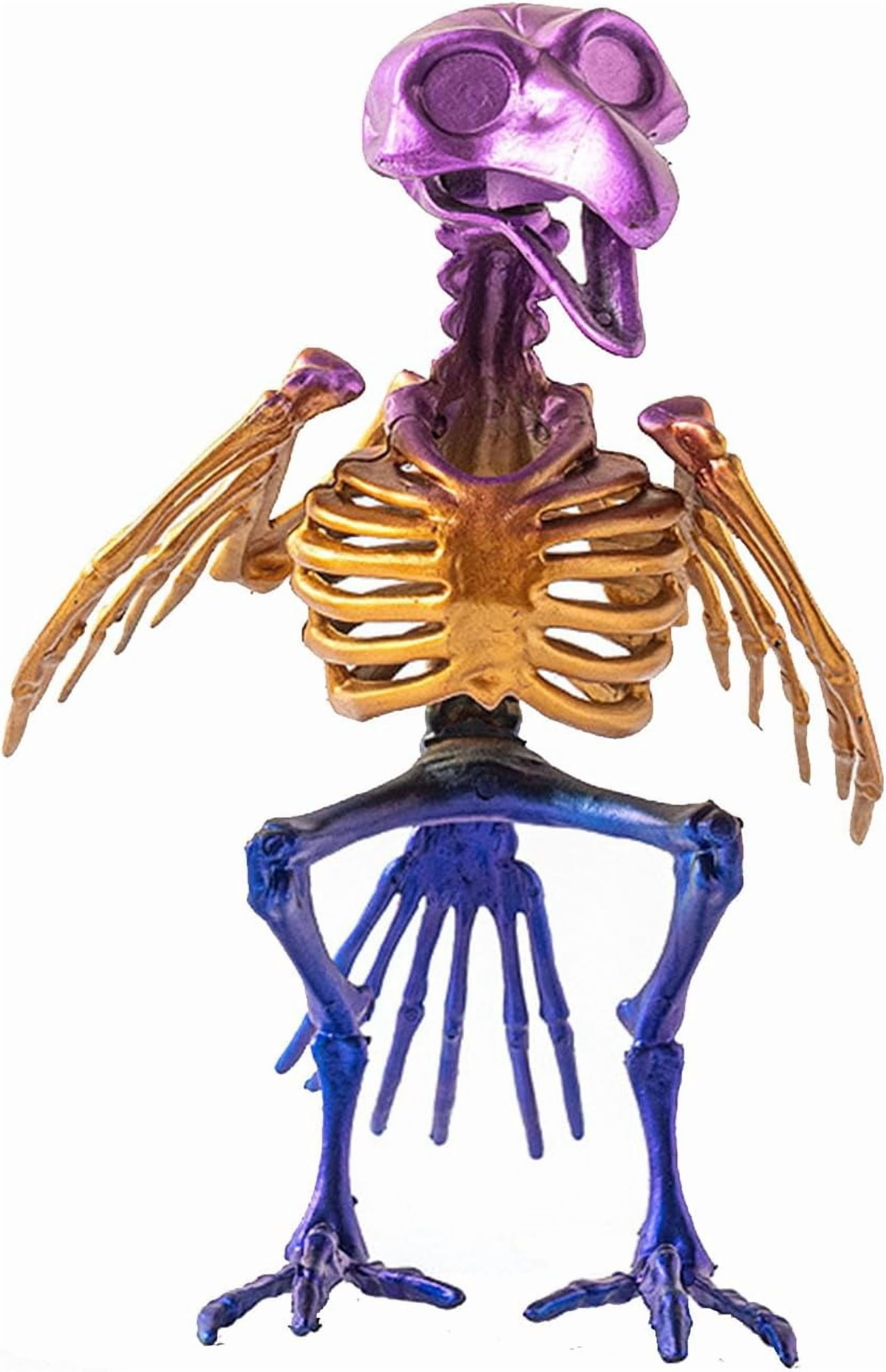 Full Body Realistic Bird Skeleton Decoration, Halloween Vulture ...