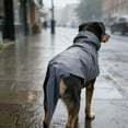 Full Coverage All Weather Dog Raincoat with Tail Cover for Outdoor ...