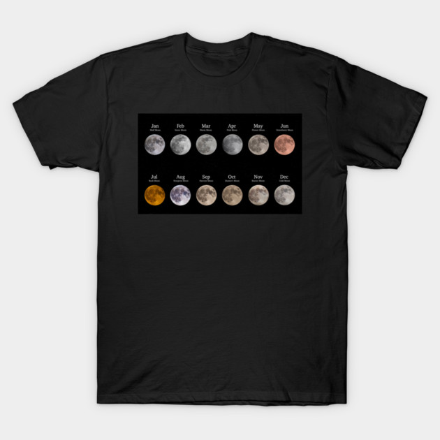 Full Moons with Month and Names Over a Year Celestial Graphic G3304 ...
