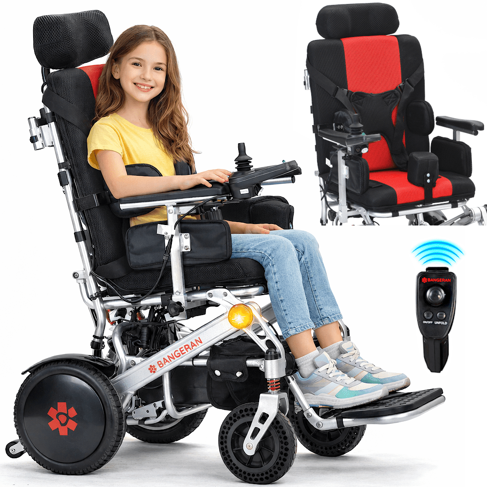 Bangeran Pegasus Stylish Ergonomic Power Wheelchair for Disability ...