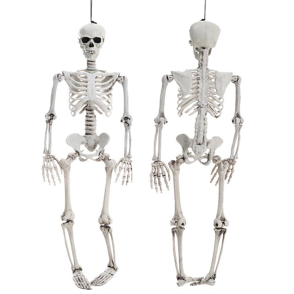 Full Size Fake Human Skull Bones Poseable Horror Halloween Party ...