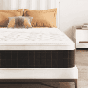 12" Queen Mattress, Euro Top Foam & Pocket Spring Hybrid Mattress in a ...