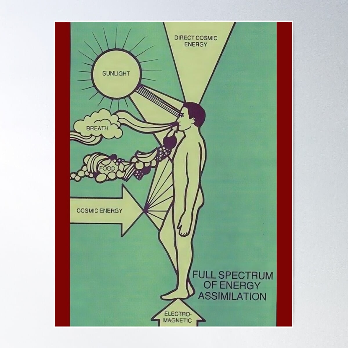 Full Spectrum Energy Assimilation T-Shirt Poster Wall Art, Modern Wall ...