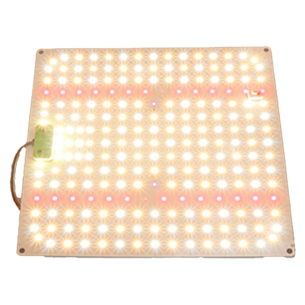 Full Spectrum Grow Light with Timed Dimming to Promote Plant Growth ...