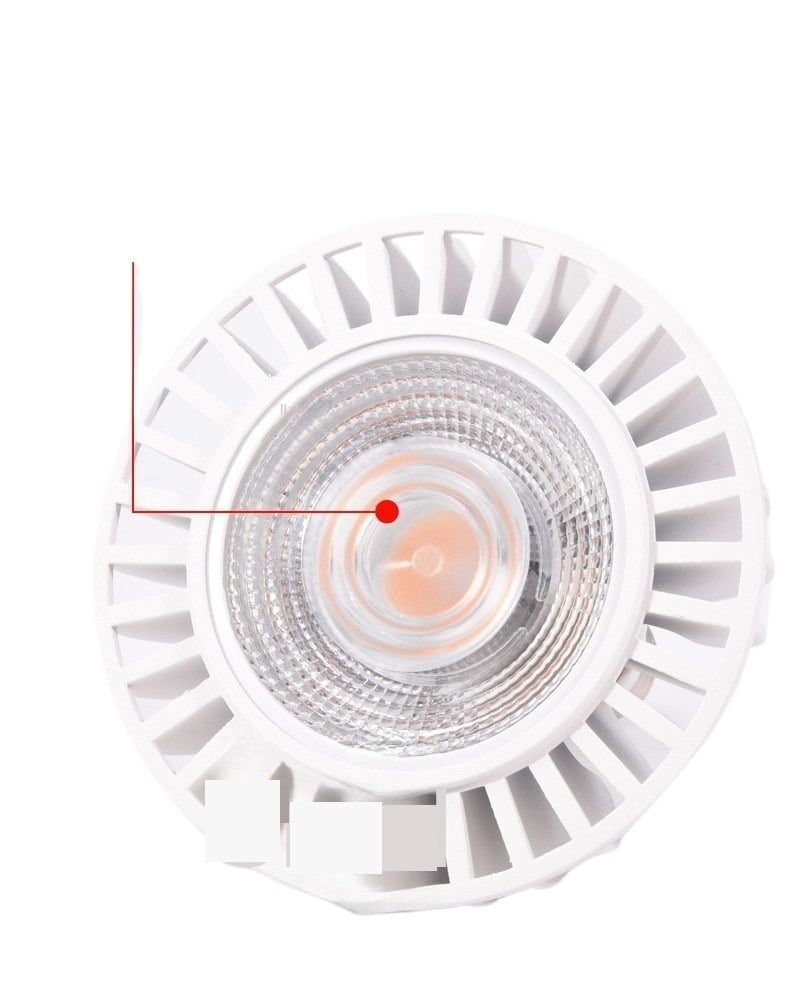 Full Spectrum Indoor Grow Light, Plant Lamp, Growth Bulb,for Succulent ...