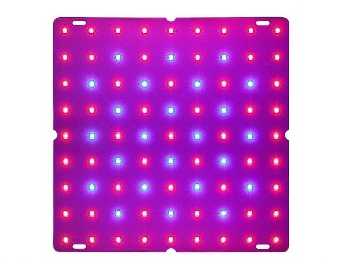 Full Spectrum LED Grow Light 2000W Plant Bulbs,Hydroponic Lamp 1000W ...