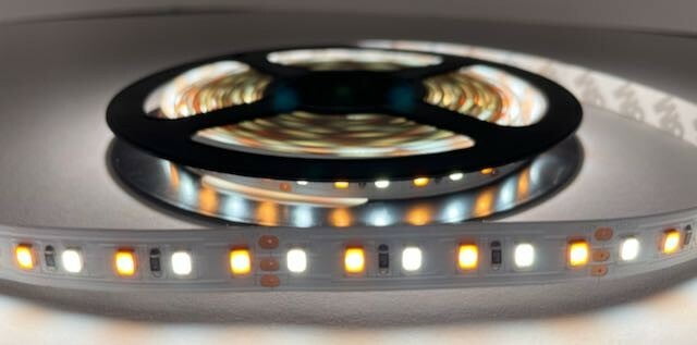 Full Spectrum LED Strip 5M Bi-color 2835 CRI 95+ 2200k-6500k 12V DC ...
