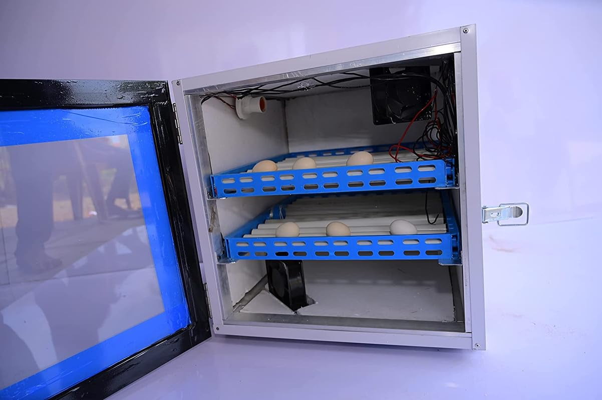 FullAutomatic Egg Incubator 140 Egg Capacity Incubator AllinOne ...