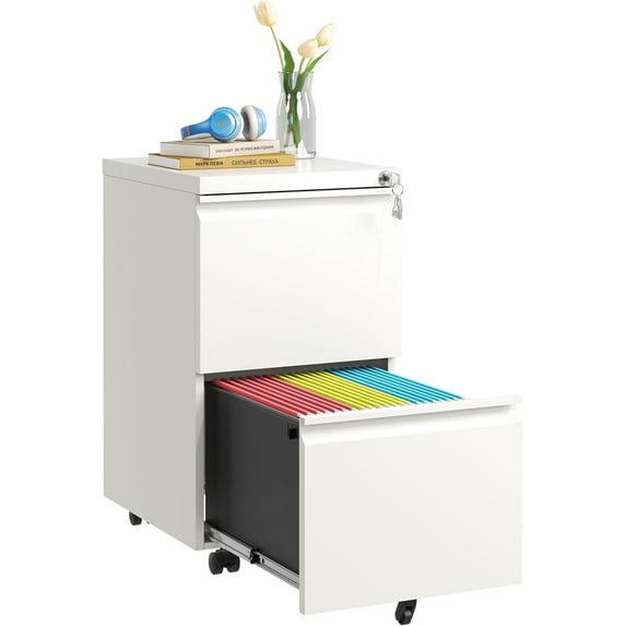 Fully Assembled 2 Drawer File Cabinet, Locking Full Filing Cabinet ...