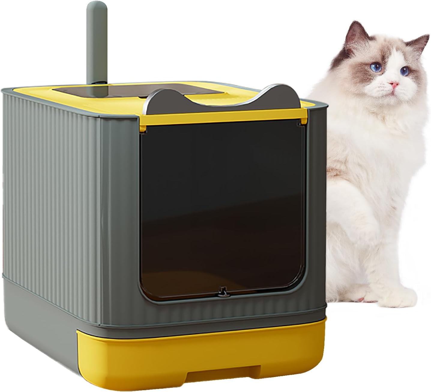 Fully Enclosed Cat Litter Box Enclosure, 17.72x13.78x4.49 Inches ...