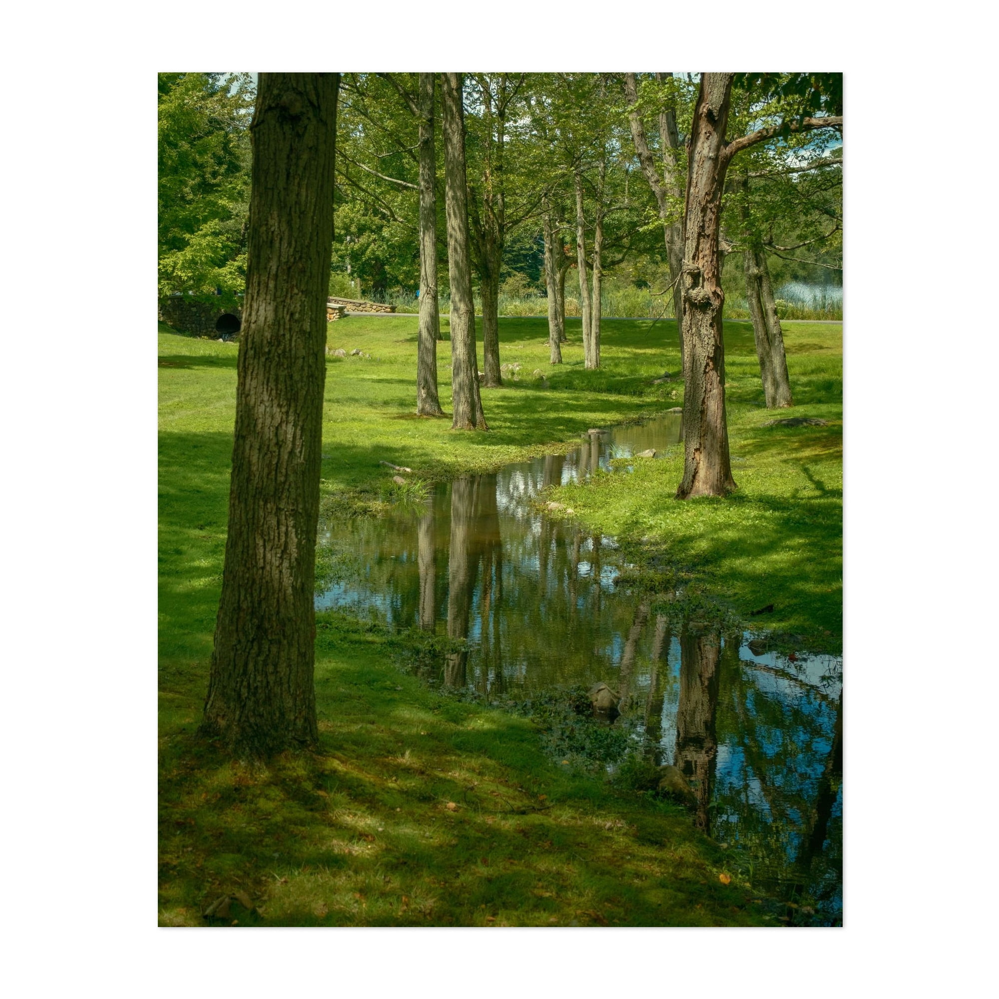 Fulton Park, Waterbury - Waterbury Connecticut Photography Nature ...